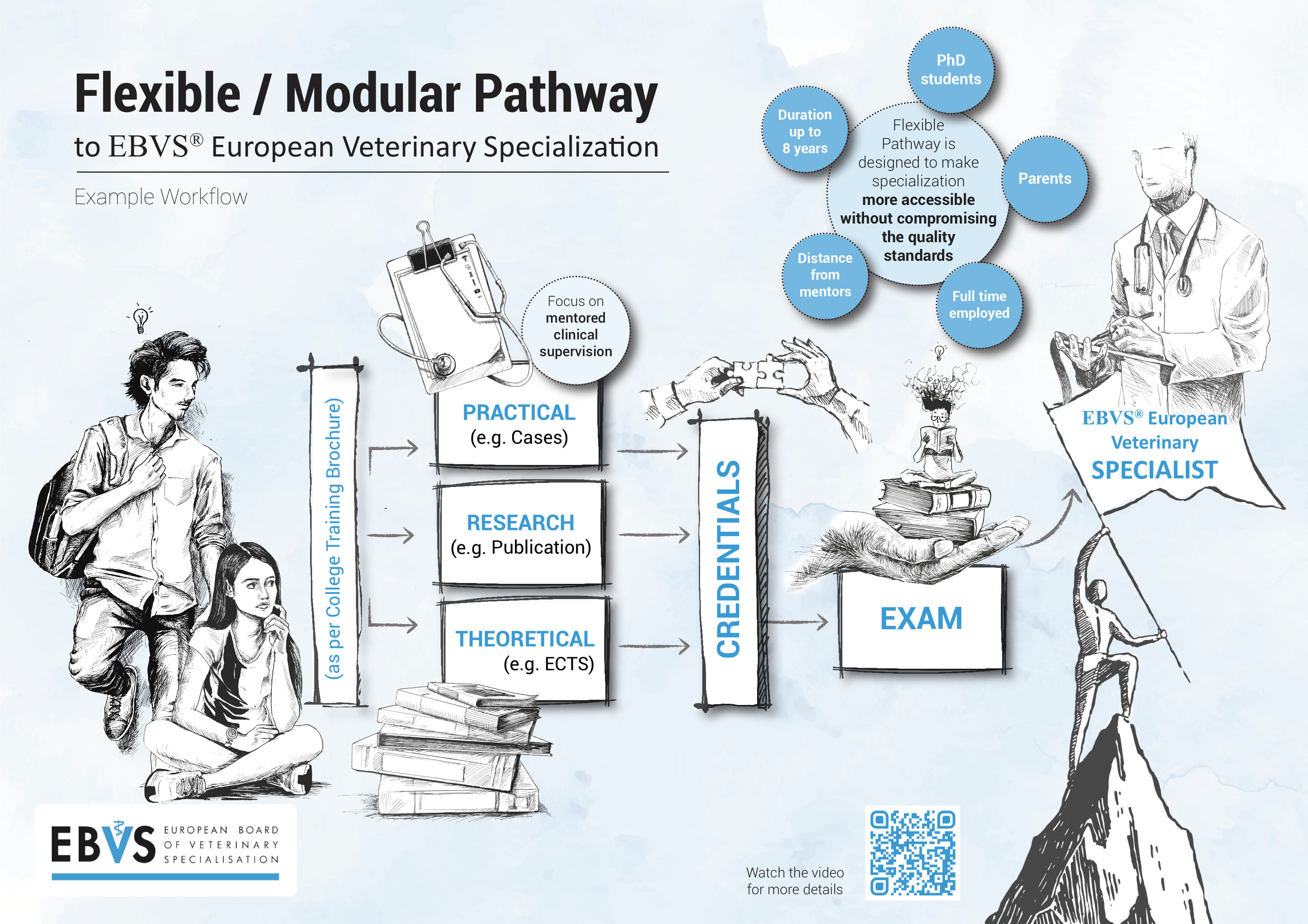 Flexible / Modular Pathways to Veterinary Specialization | EBVS